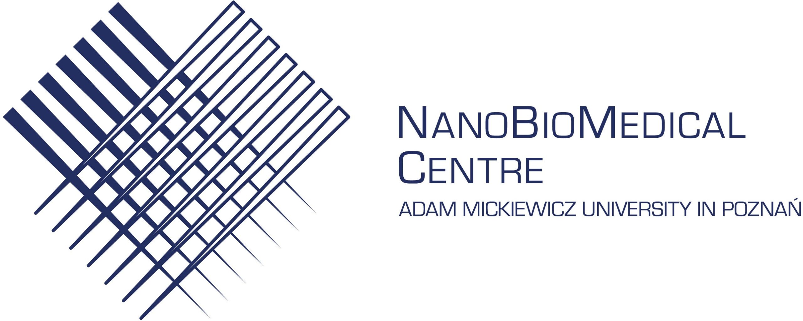 The Logo Of The NanoBioMedical Centre Features An Abstract Geometric